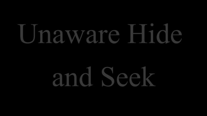 Mantman Unaware Hide N Seek Fx Fappy 1513